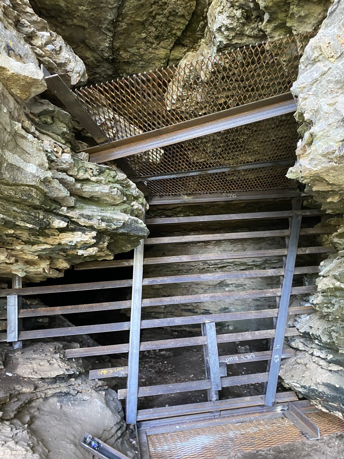 About Bat Gates - CAVE GATORS